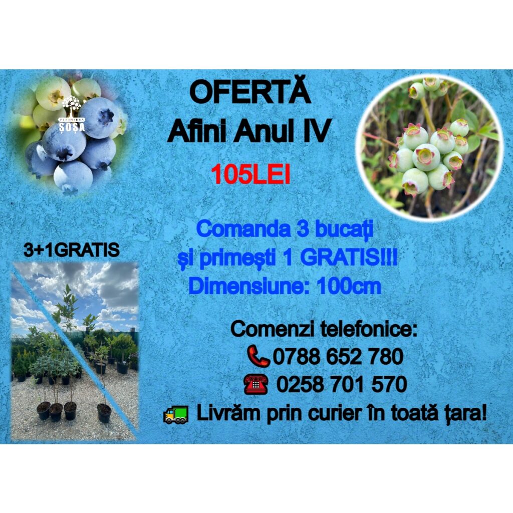 Afini | Pepiniera Sosa